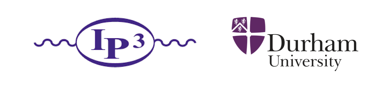 New Horizons in Primordial Black Hole physics (NEHOP) -- '24 (17-20 ...